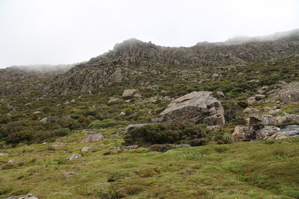Tasmania's Wild South West - BushBlitz