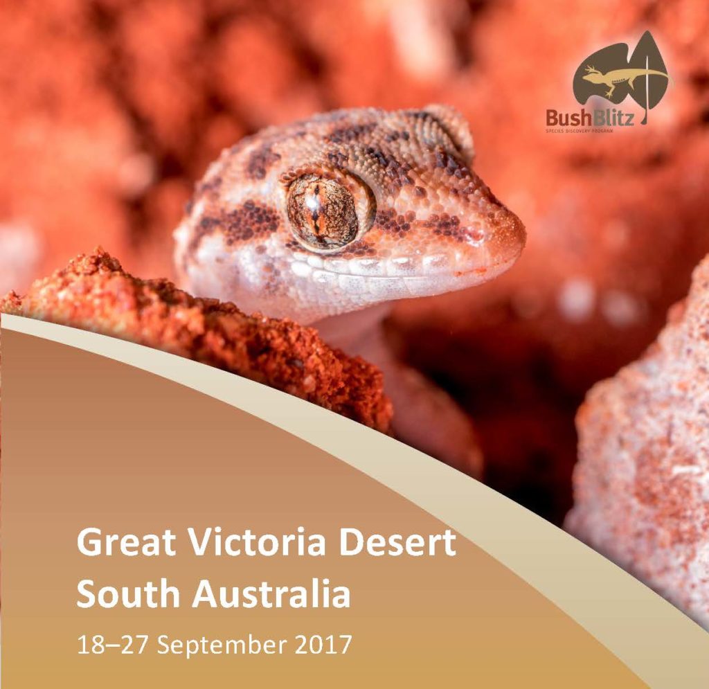 Great Victoria Desert SA, 2017 - BushBlitz