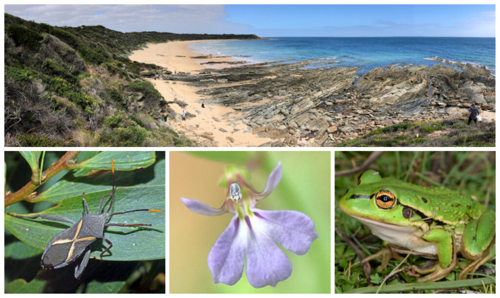 BushBlitz - Uncovering Australia's vast biodiversity